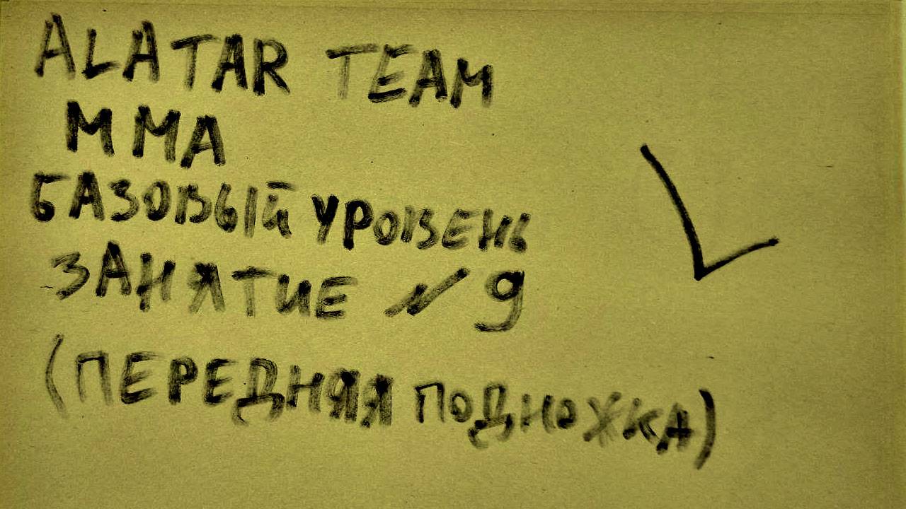 9 занятие по ММА (смешанные единоборства) Alatar team ᴸⁱᴹᵉ Денис Алаторцев