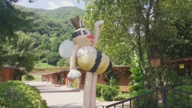 Абхазия / Путешествие на озеро Рица/ Дегустация меда и не только