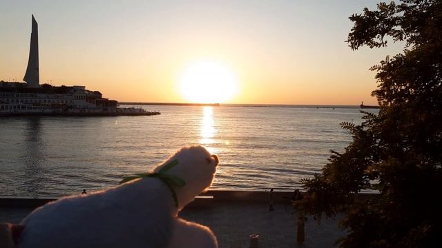 Гусь слушает КИШ на набережной