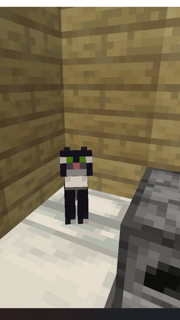 Shorts | Приручили котика