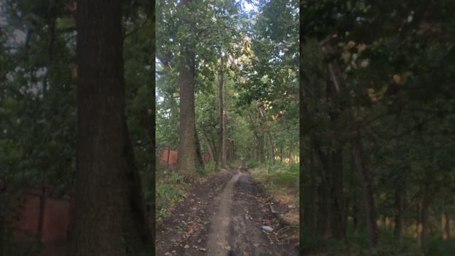 MP4_20250809_082739VLOG