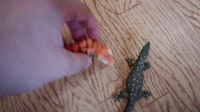 Схватка тигра с вараном. Очень интересный видос.