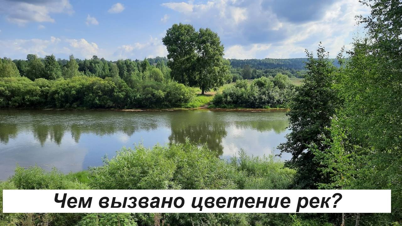 Почему река Ухта стала зелёной? Август 2025 г.