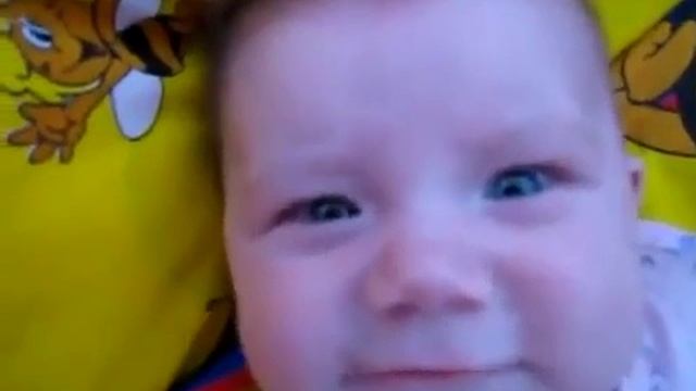 САМЫЕ ТОПОВСКИЕ И УГАРНЫЕ ВИДЕО 2025 НАРЕЗКИ ВИДЕО ДОМАШНИЕ ПРИКОЛЫ ПРИКОЛЫ С КОТИКАМИ ДЕТСКИЕ ПРИКЛ