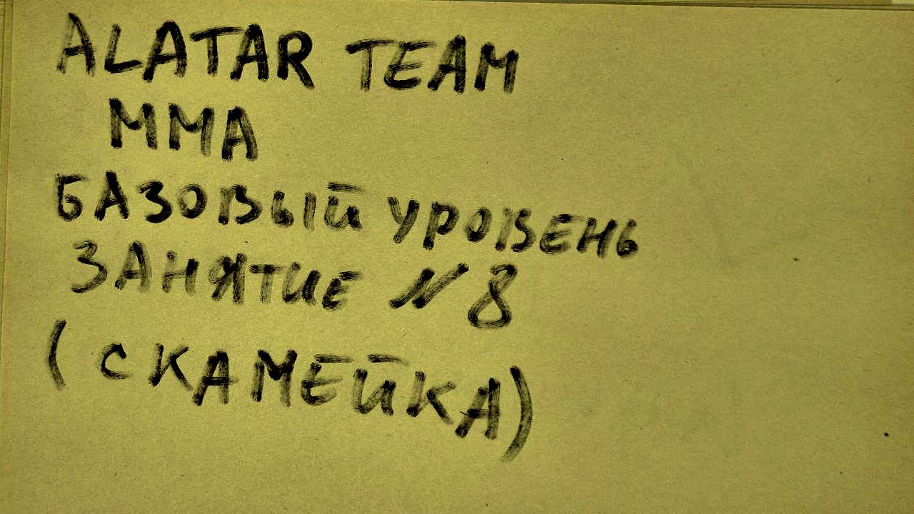8 занятие по ММА (смешанные единоборства) Alatar team ᴸⁱᴹᵉ Денис Алаторцев