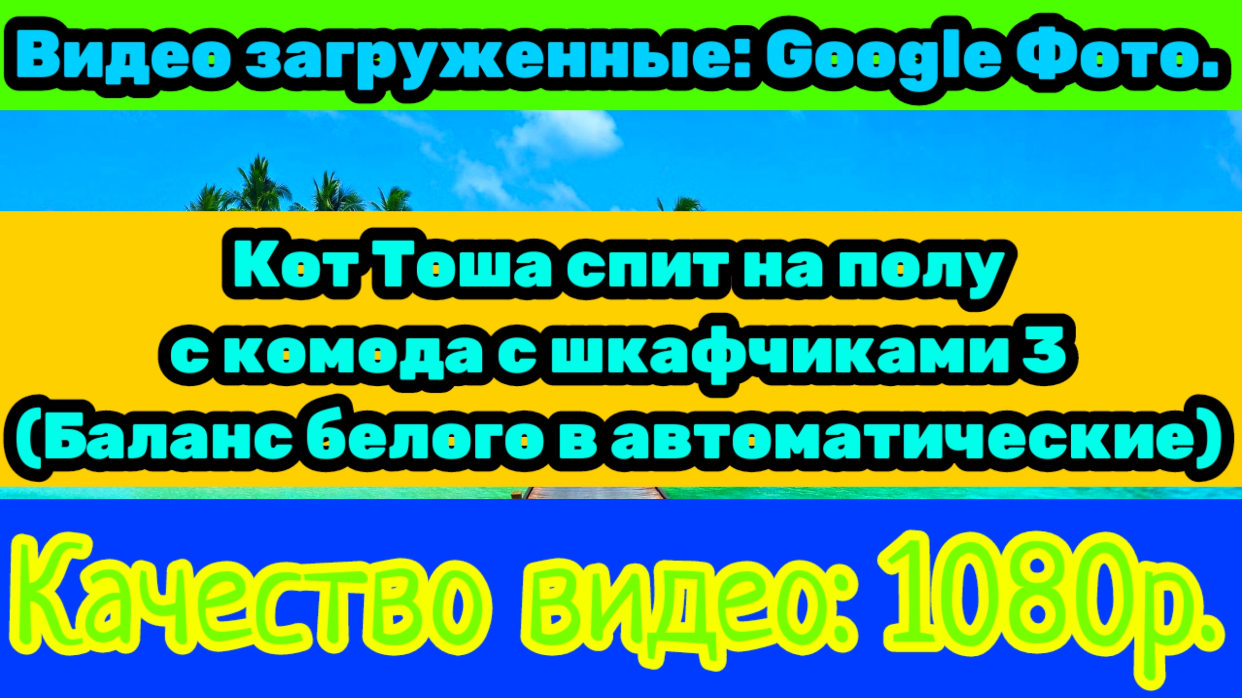 Кот спит на полу с комода с шкафчиками 3 (Баланс белого в автоматические)