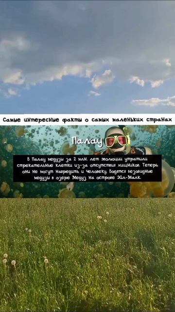 Палау - Самые Интересные Факты о Самых Маленьких Странах