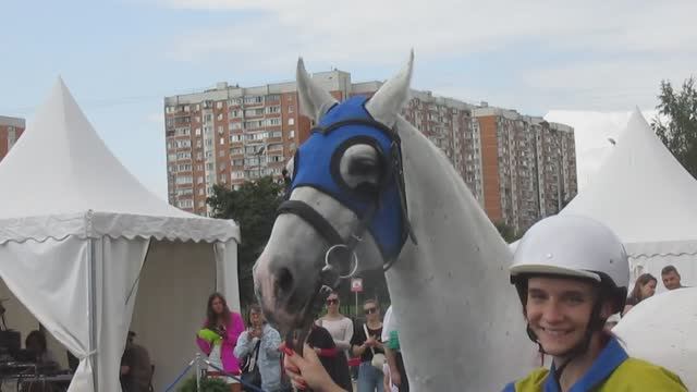 2025 «Конное достояние», 2-я серия