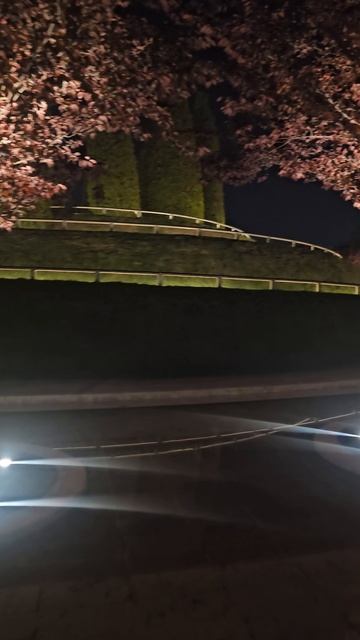 Парк Галицкого , вечер.