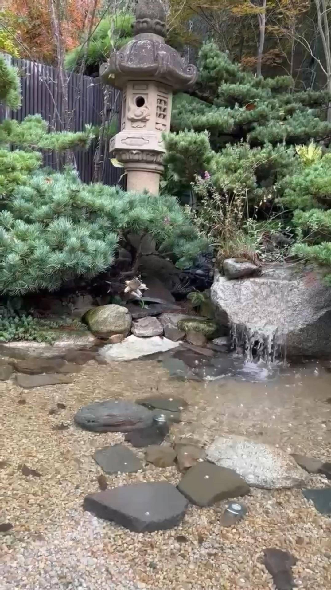 Суровый сад бонсай. Михара сад Нагасаки #shorts