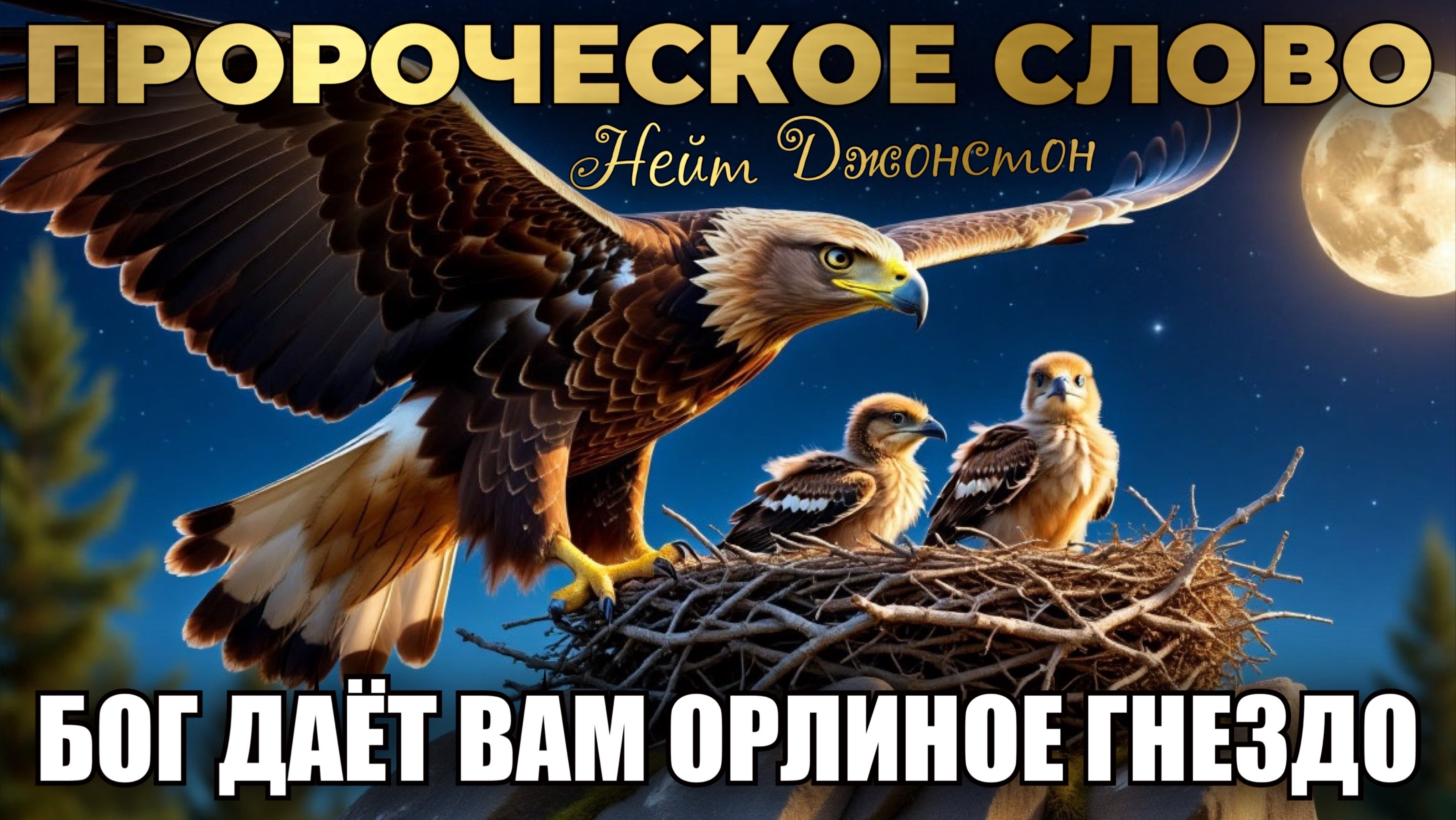 ПРОРОЧЕСКОЕ СЛОВО. БОГ ДАЁТ ВАМ ОРЛИНОЕ ГНЕЗДО. Нейт Джонстон