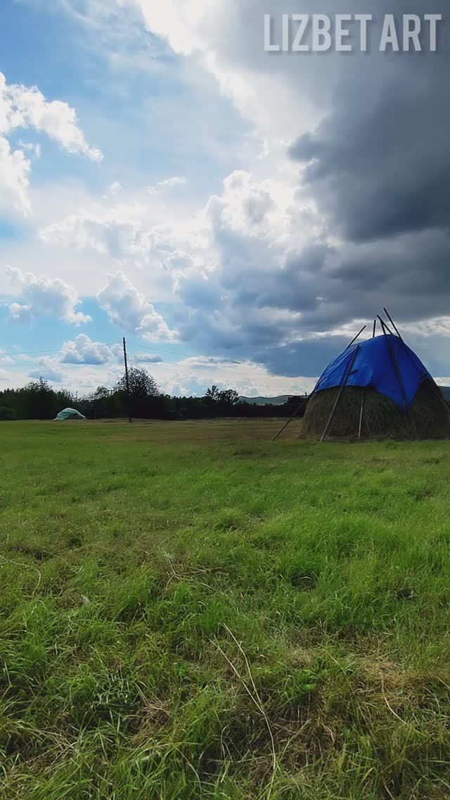 Как мы ДР брата отмечали🎉#tiktok #shorts #art #lizbet