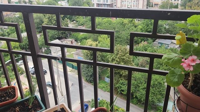 У нас замечательные соседи!