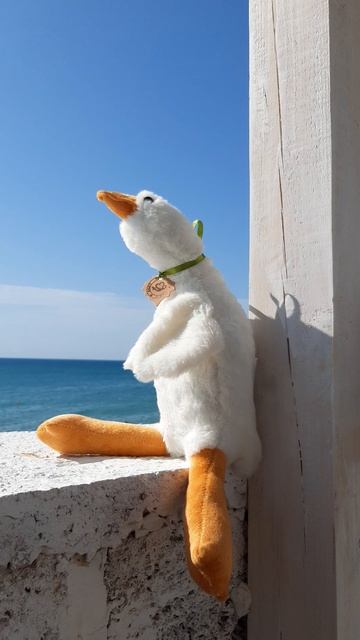 Гусь и морской курорт