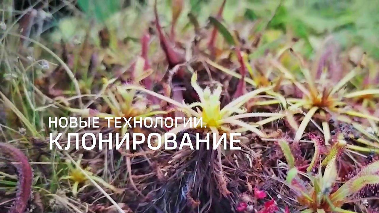 Специальный репортаж. Новые технологии. Клонирование