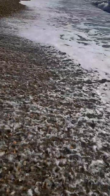 Тото Кутуньо - Индийское Лето (Toto Cutugno - L'été Indien)🌅🌴