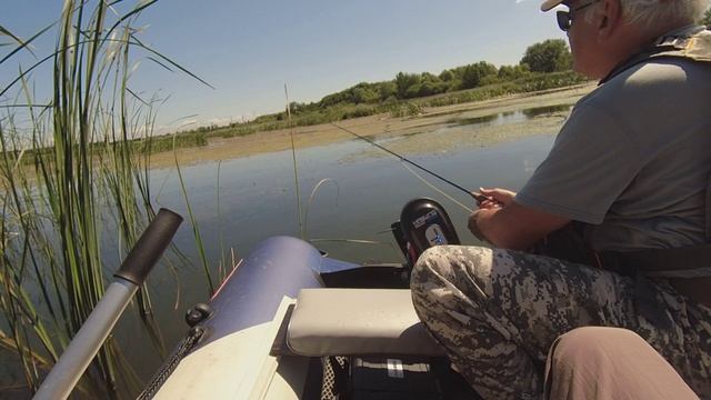 В поисках красноперки