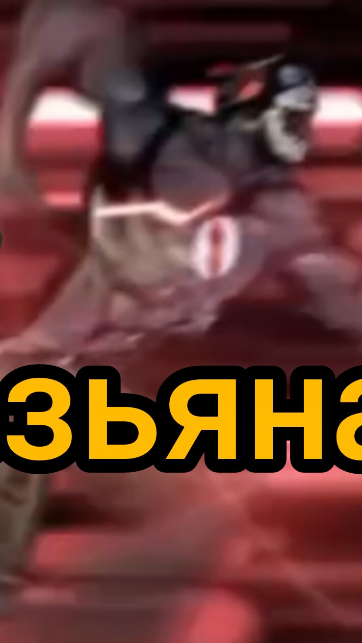 обезьяна