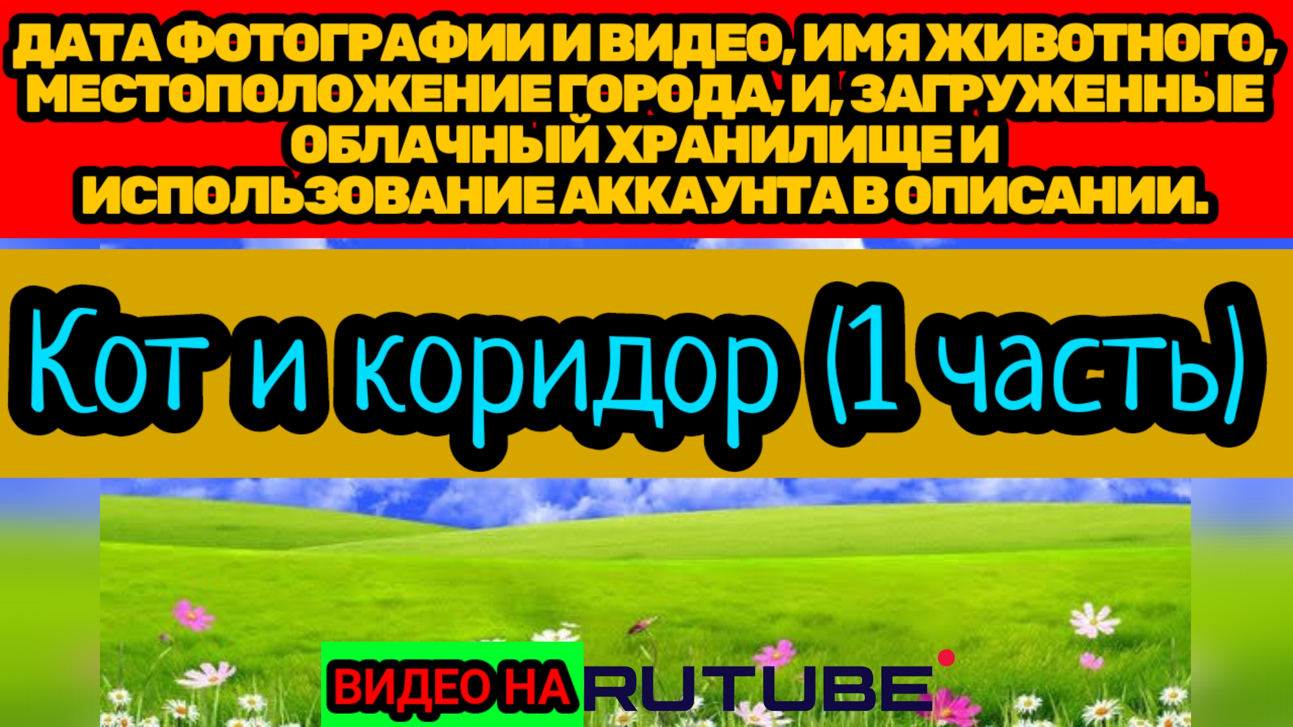 Кот и коридор (1 часть)