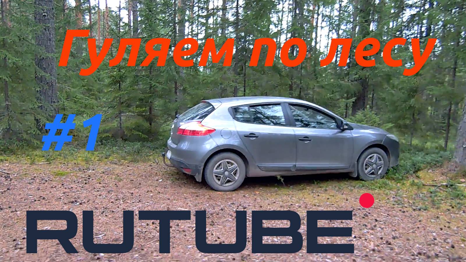 Гуляем по лесу. Часть 1