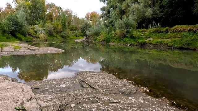 Бугринская роща