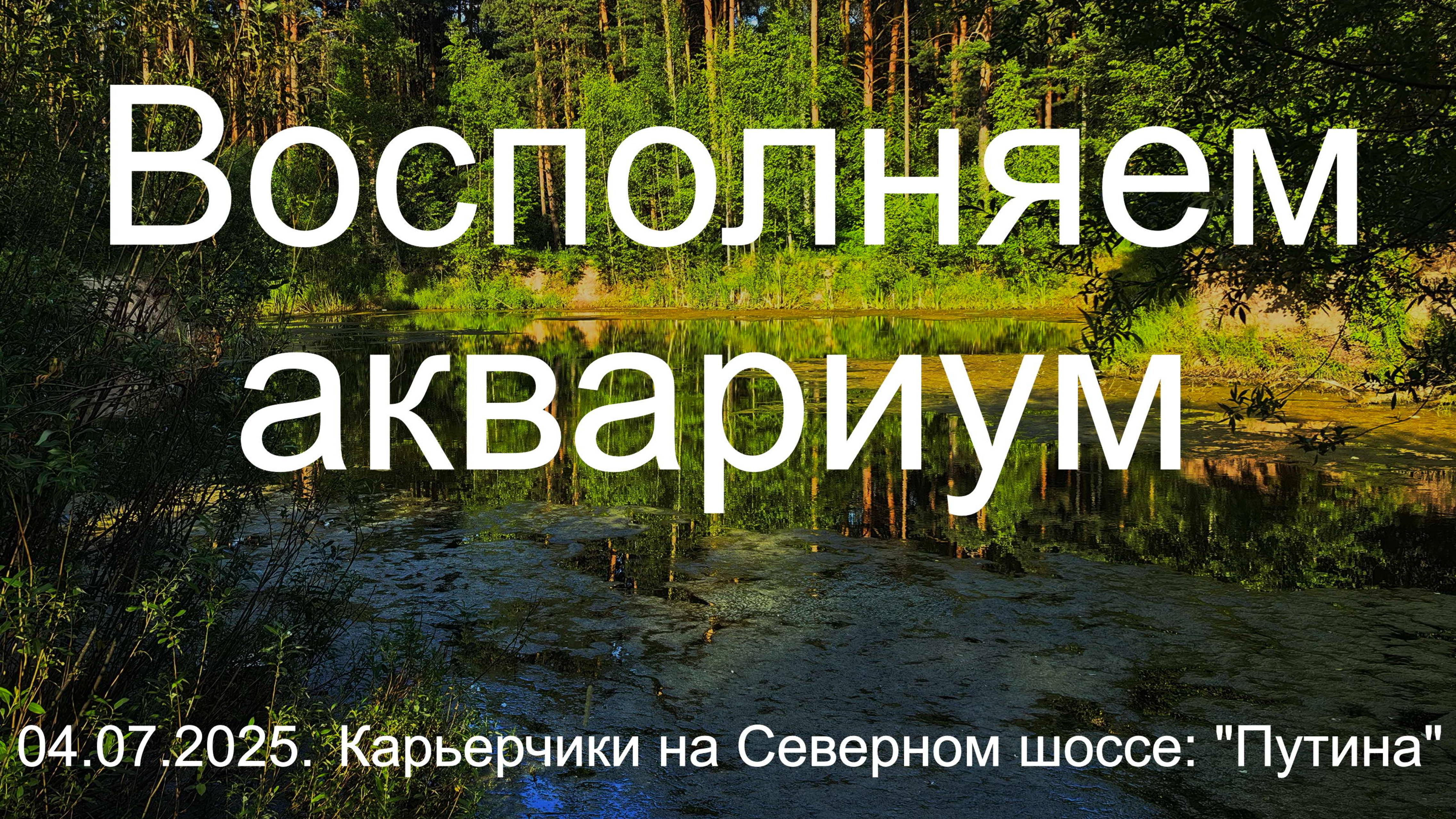 Восполняем аквариум. 04.07.2025. Карьеры "Путина". г. Раменское.