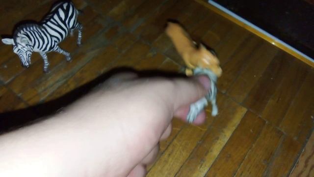 Львица атакует зебр в сафари парке Крюгер. Очень интересный видос.