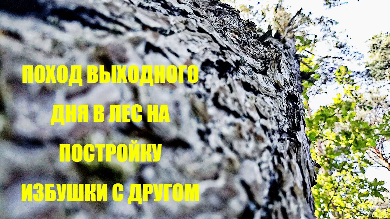ЛЕТНИЙ ПОХОД ВЫХОДНОГО ДНЯ В ЛЕС ДЛЯ ПОСТРОЙКИ ИЗБУШКИ С ДРУГОМ / П.В.Д. В ГЛУШЬ ЛЕСА