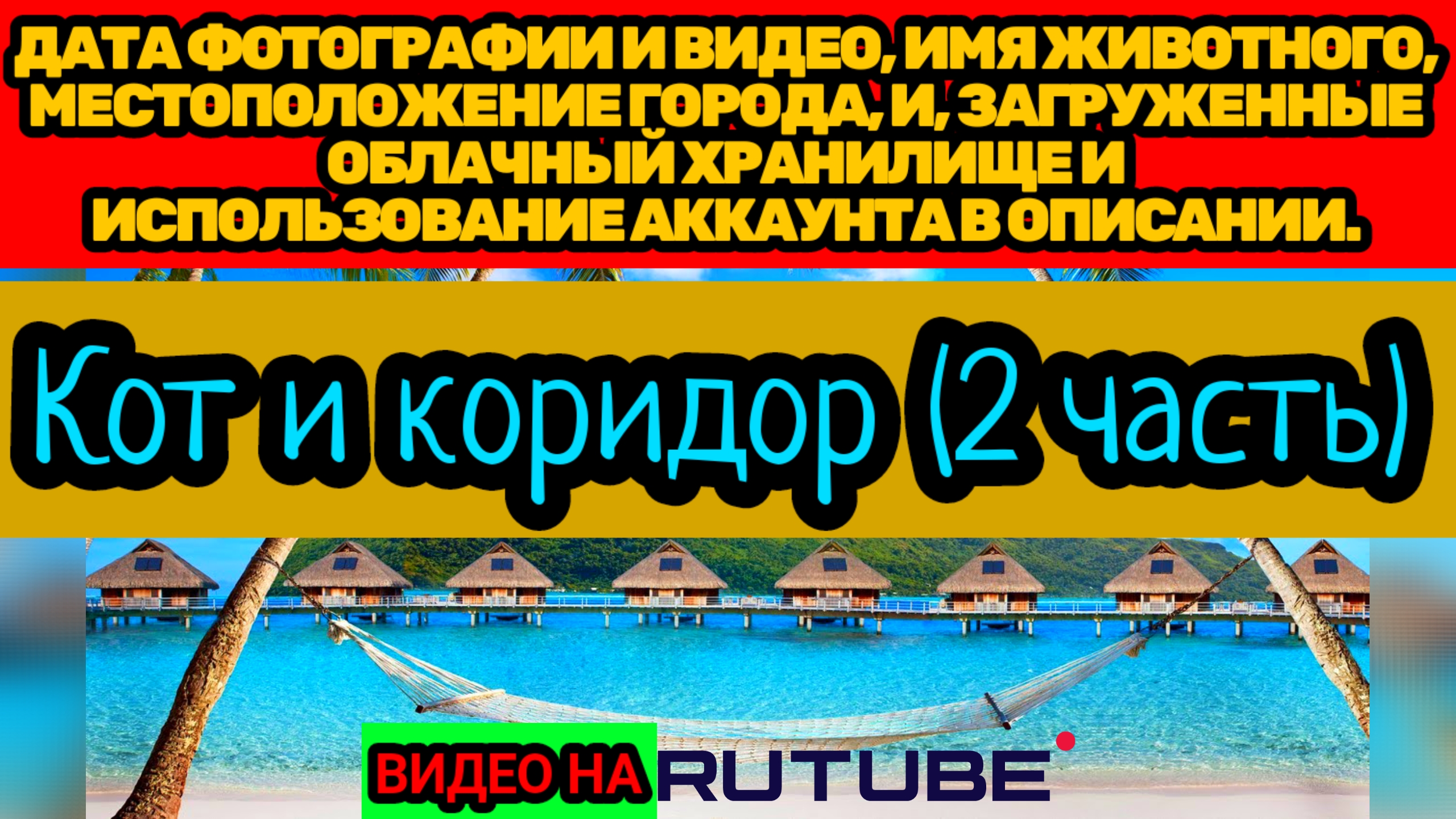 Кот и коридор (2 часть)