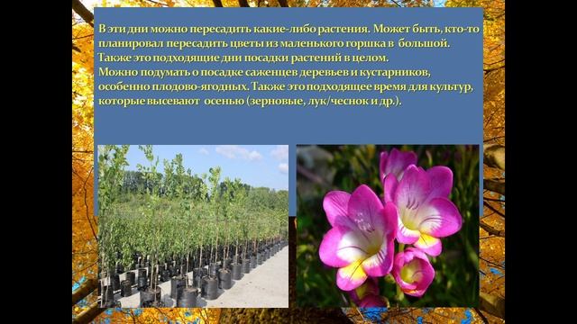 Благоприятные и неблагоприятные дни месяца