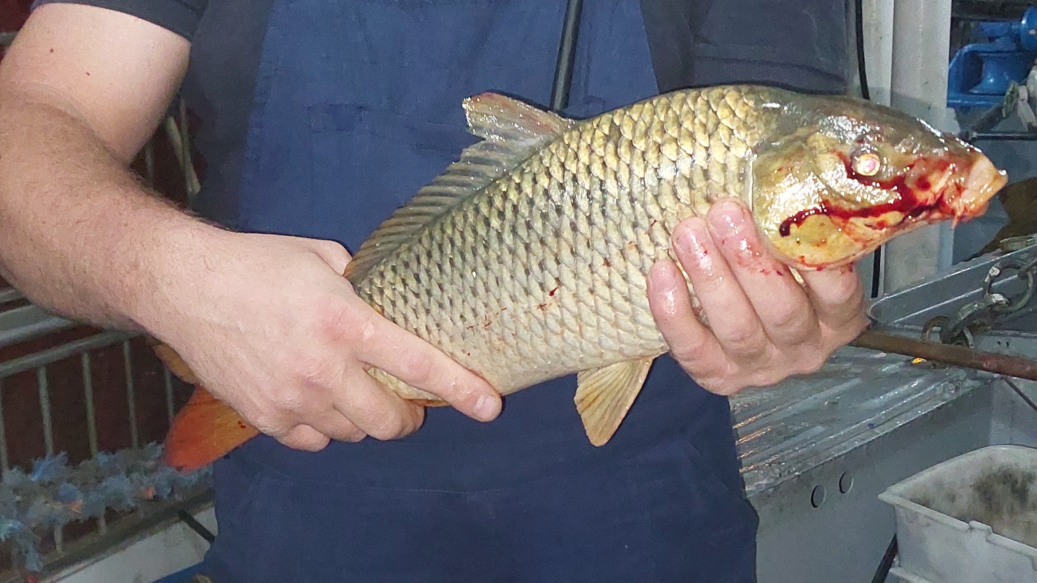 Рыбалка в Астрахани