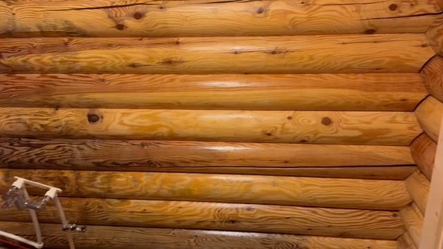 Уничтожение плесени в деревянном доме!