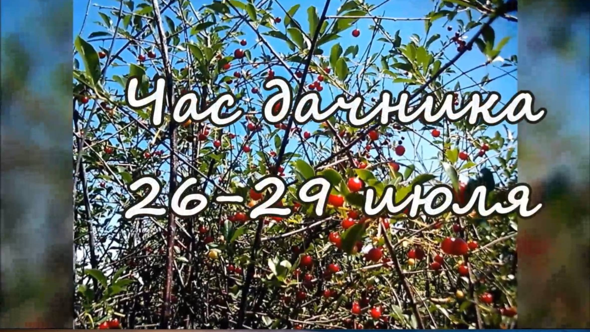 Где-то далеко в маленьком саду