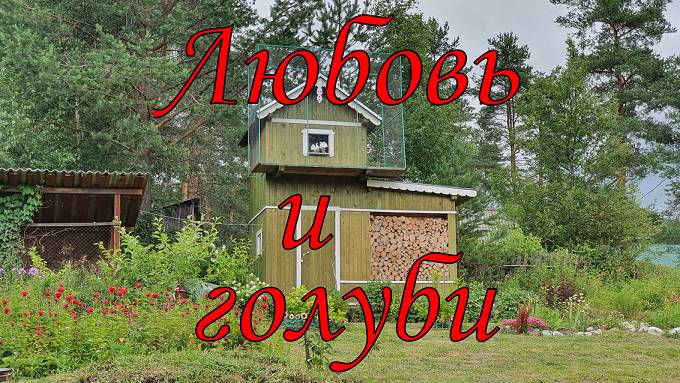 Любовь и голуби(1983 - 2020 года). Наш любимый фильм!))