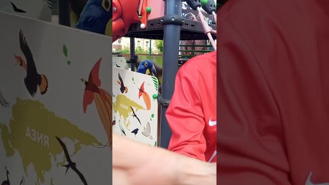 проходим разные испытания 2!