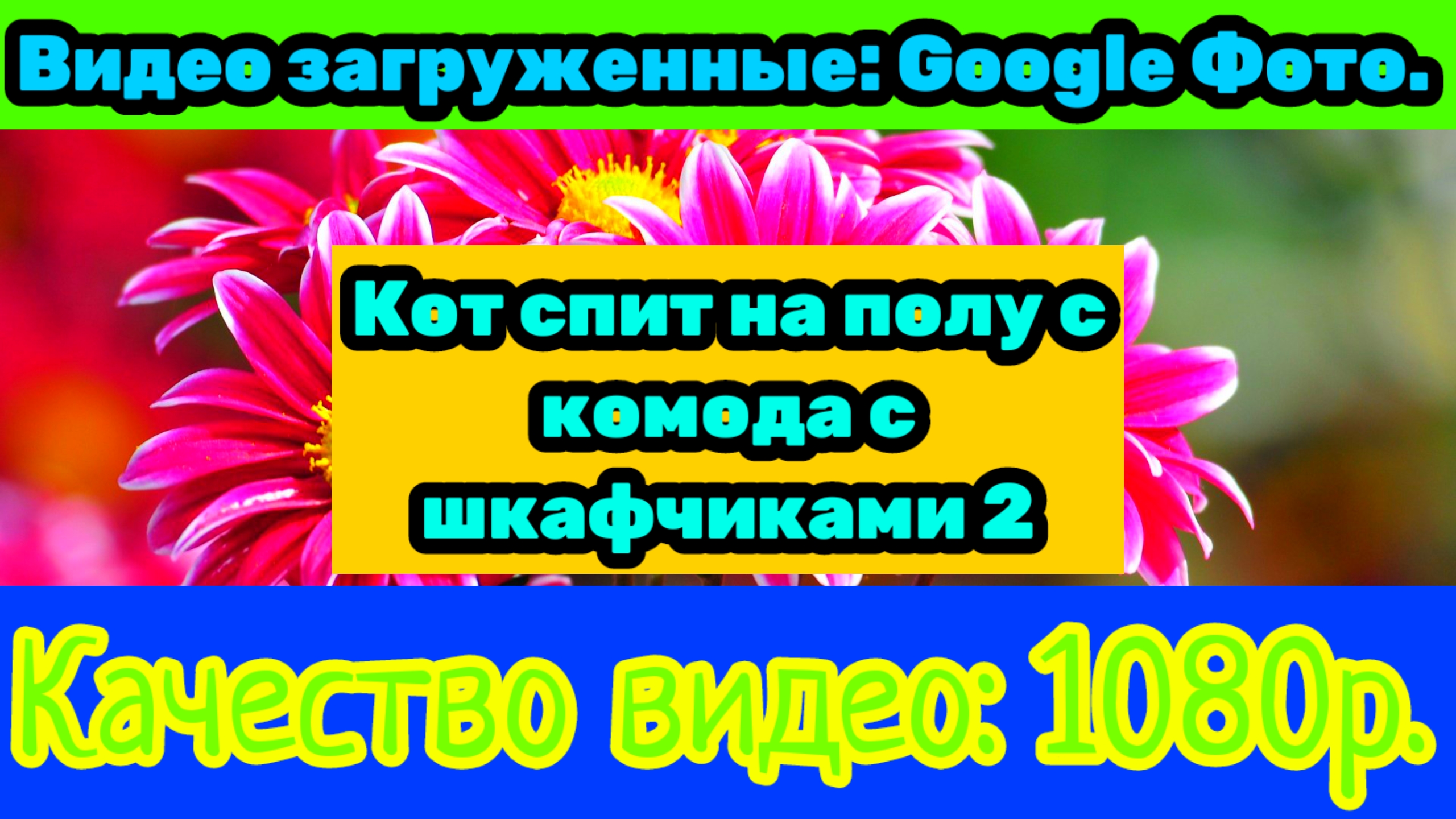 Кот спит на полу с комода с шкафчиками 2