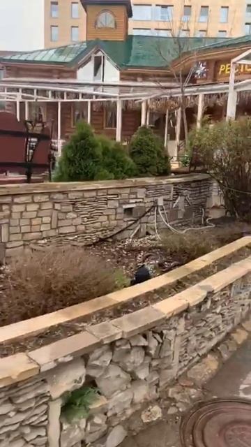 Пошли погулять...