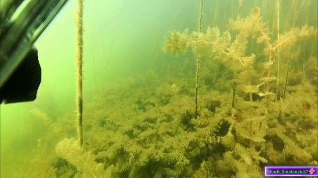 Подводное приключение в Смоленске от тёмных глубин Бакланово вверх по склону к живым берегам