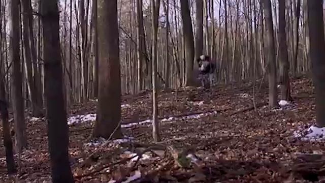 Ларс и настоящая девушка (2007)