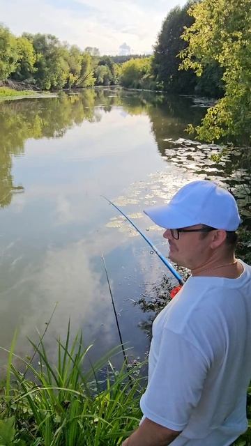 Рыбалка на Меше 🎣