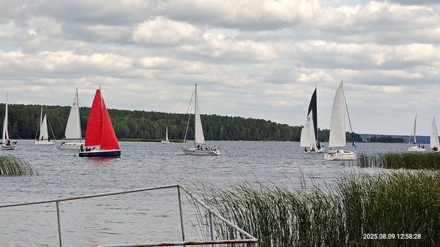 Парусная регата на озере Увильды