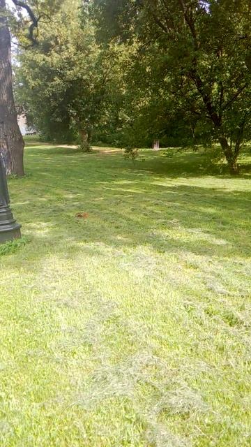 Принцесса Пиггл и белочка.