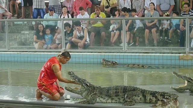 Таиланд, шоу с крокодилами.