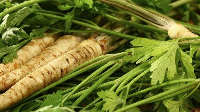 ЧТО МОЖНО ПОСЕЯТЬ В АВГУСТЕ НА ГРЯДКАХ