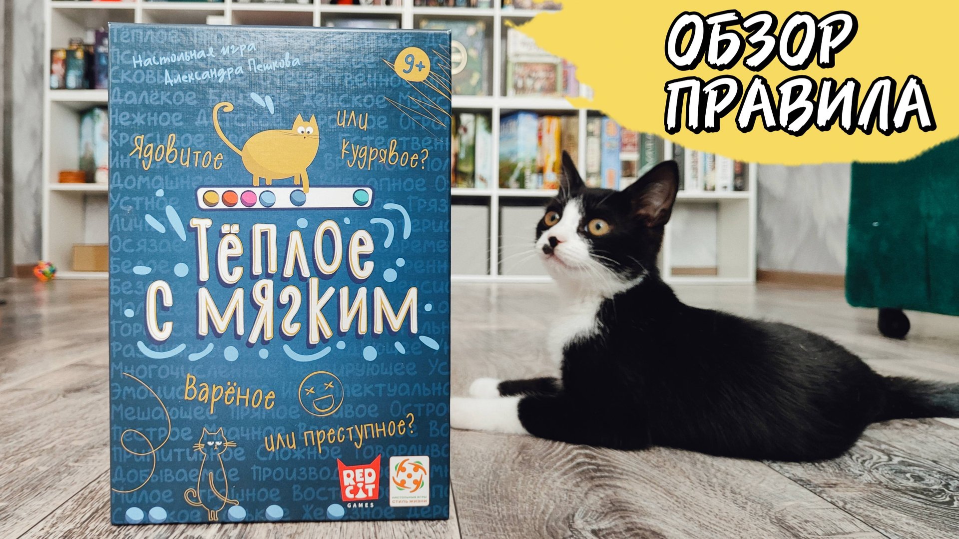 Тёплое с мягким 🦊 обзор и правила настольной игры