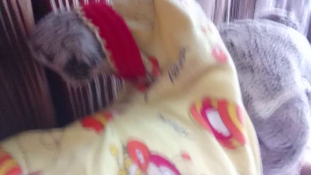 Идем на плановый осмотр с басиками и сдавать кровь!?🩸🌹🍓💋