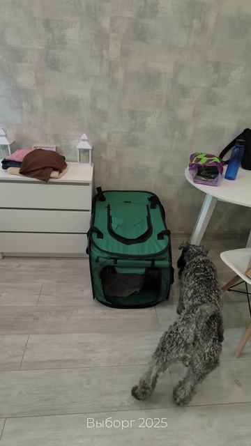 Переноска для поезда