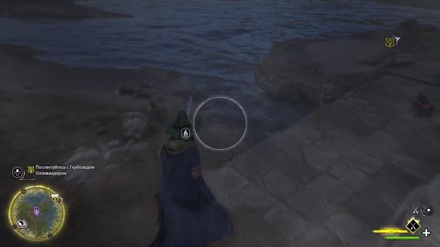 Hogwarts Legacy прохождение ( 14 часть)