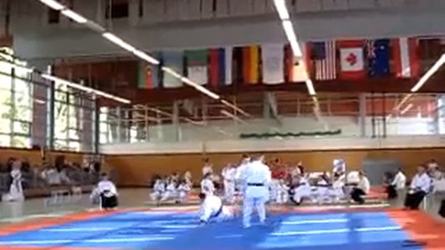 Бункай, команда Россия 1,ск Лидер, Берлин 2011 360