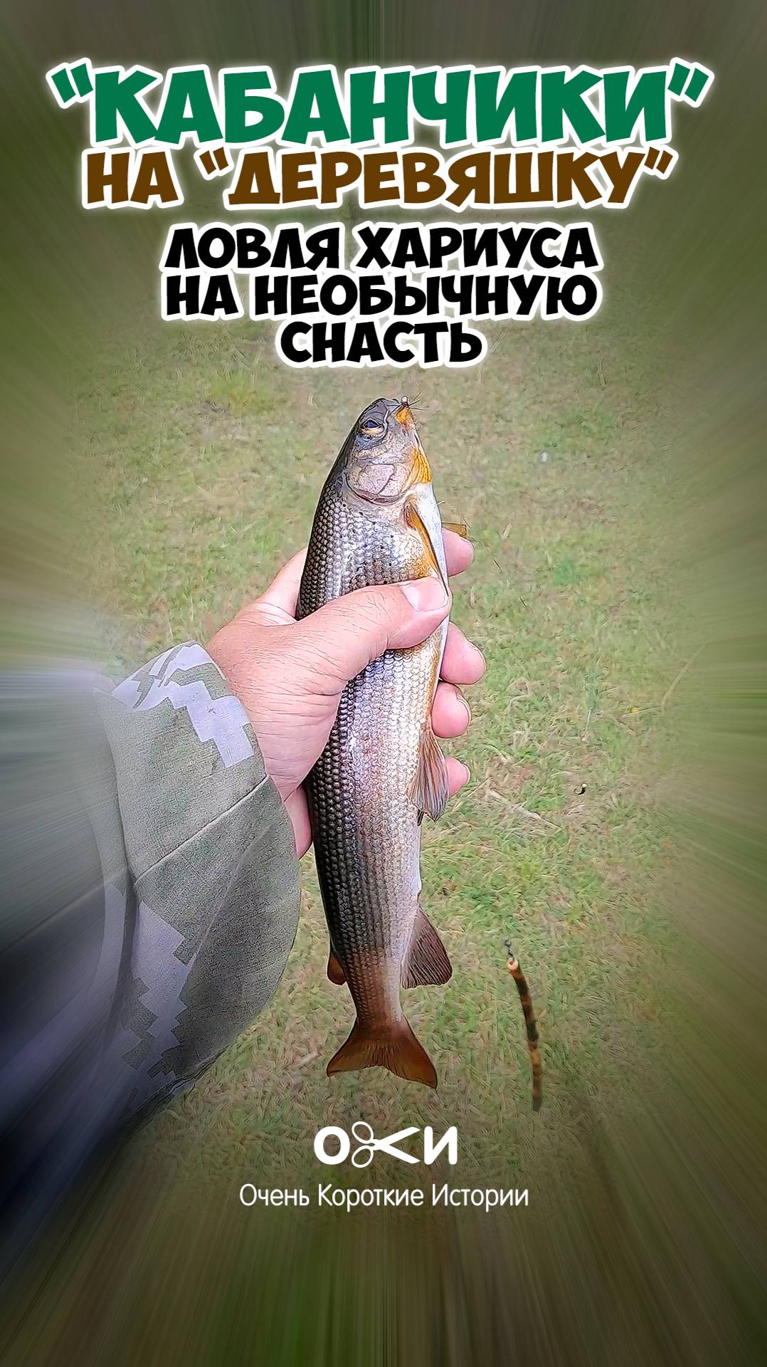 "Кабанчики" на "Деревяшку".  Ловля хариуса на необычную снасть.